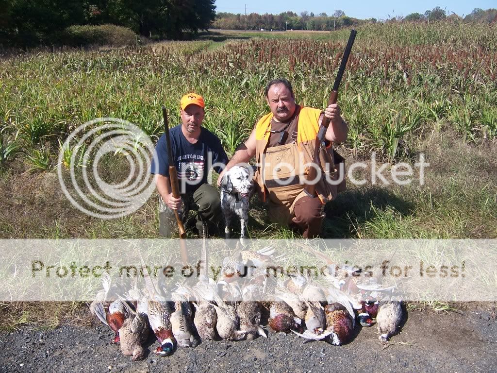 FIRST BIRD HUNT OF THE YEAR (pic) | New Jersey Hunters